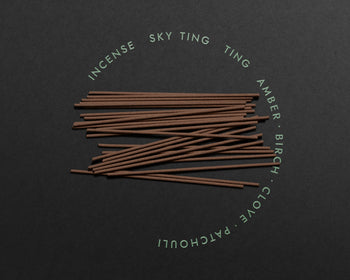 SKY TING • DUO – CINNAMON PROJECTS